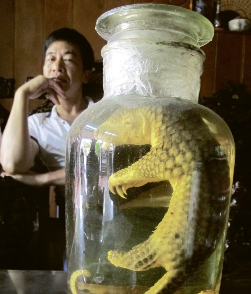 Priča o kineskoj medicini - Tribina u SKC-u - Glas Šumadije