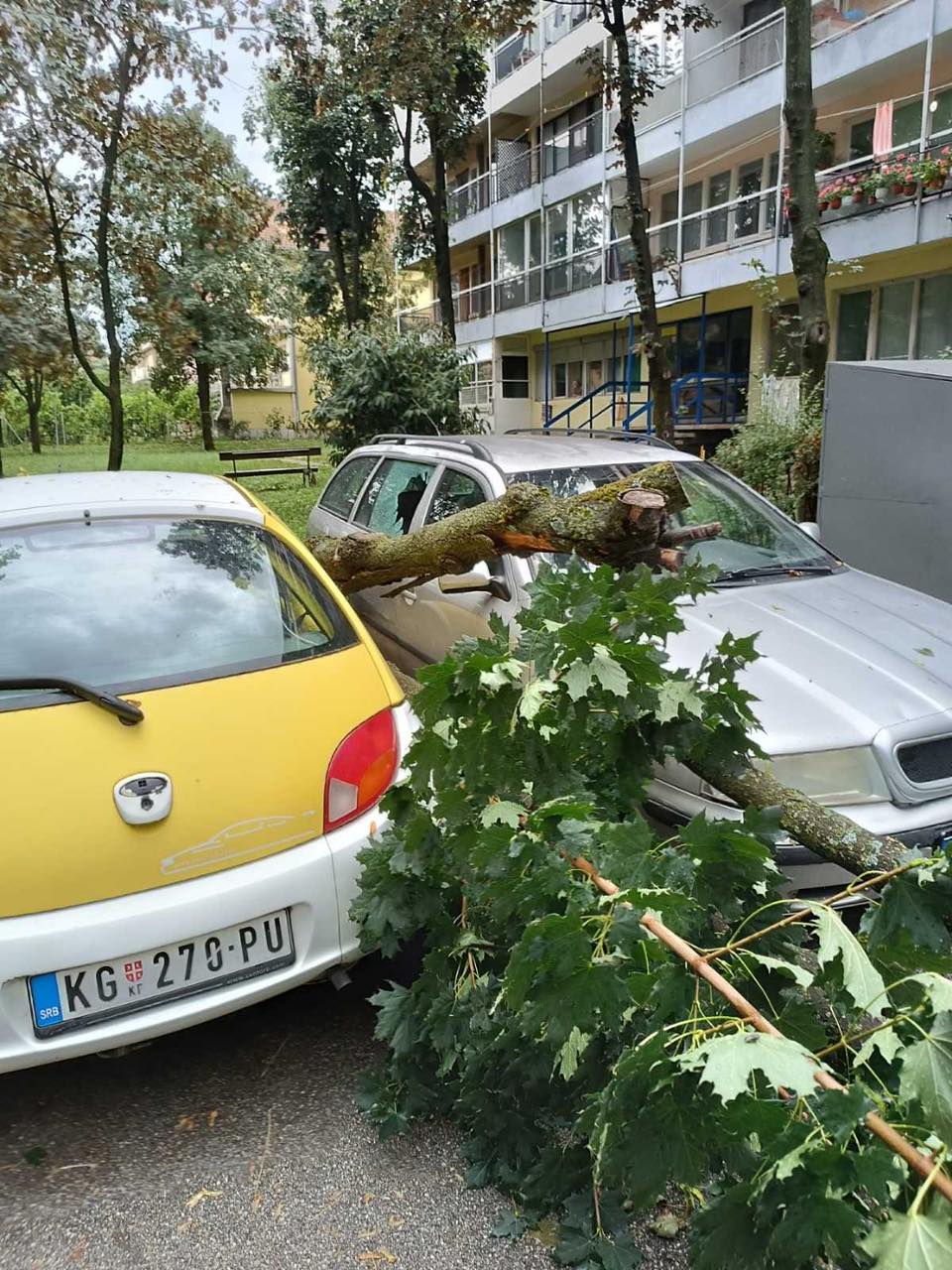 Vatrogasci spasioci u Kragujevcu još uvek na terenu - Glas Šumadije Vatrogasci spasioci u Kragujevcu još uvek na terenu - Glas Šumadije